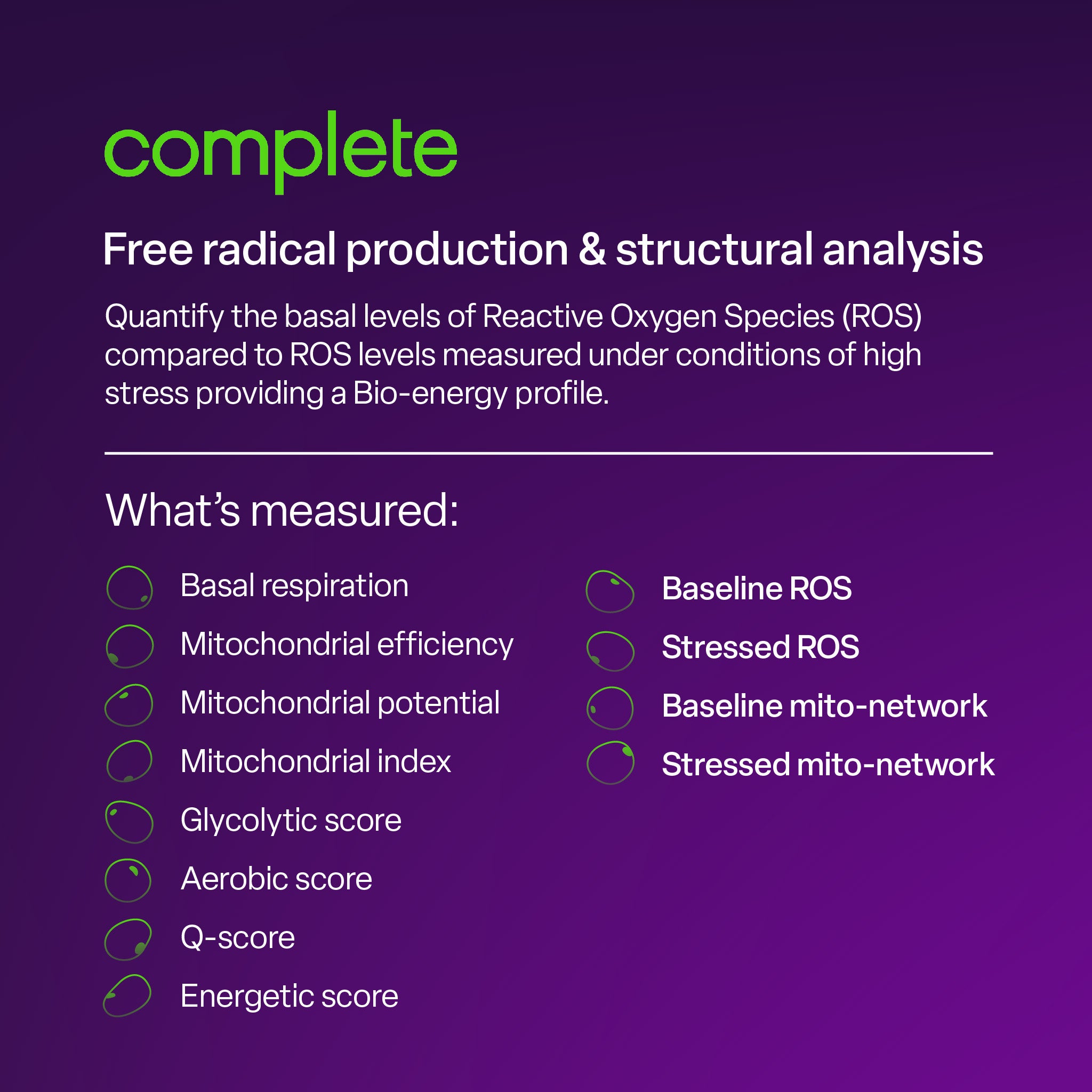 Mescreen™: Mitochondrial Function & Dynamics Test for Cellular Health ...