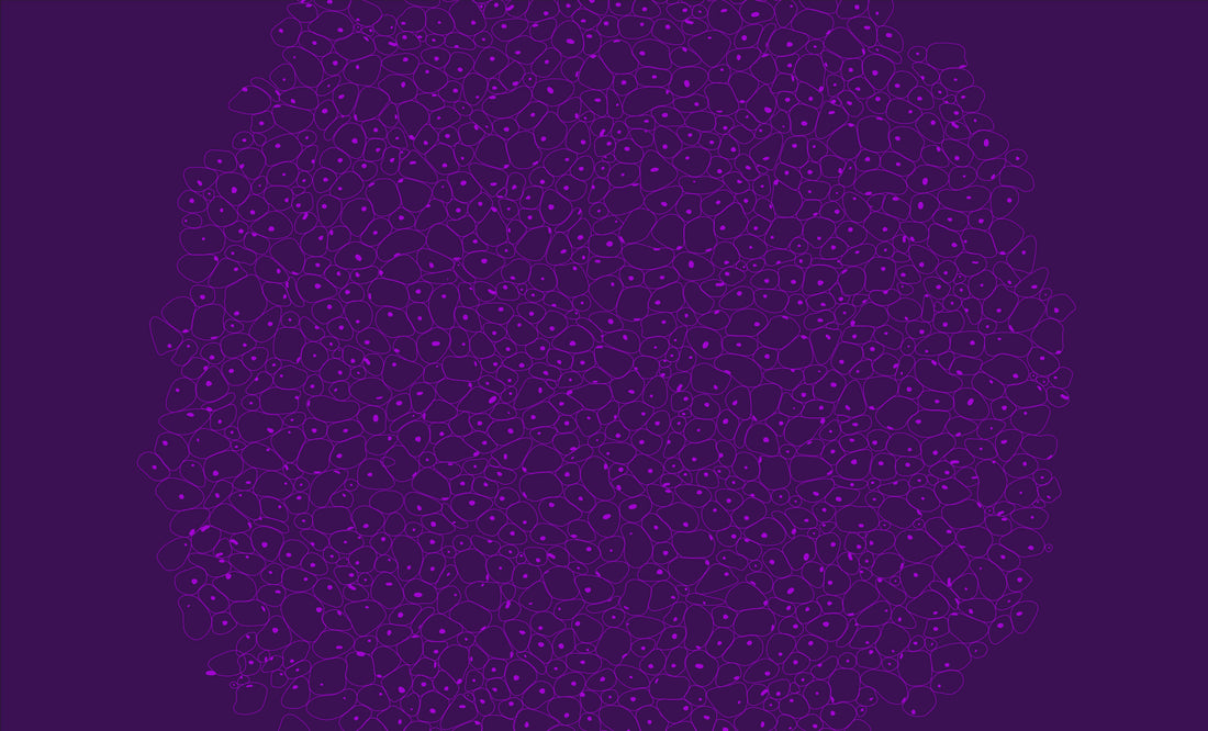 Mescreen™: Mitochondrial Function & Dynamics Test for Cellular Health ...