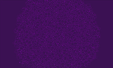 Mescreen™: Mitochondrial Function & Dynamics Test for Cellular Health ...