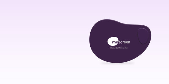 Mescreen™: Mitochondrial Function & Dynamics Test for Cellular Health